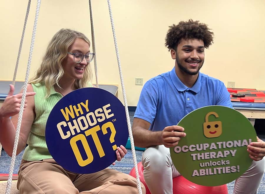 How to Write a Winning Occupational Therapy (OT) Personal Statement ...